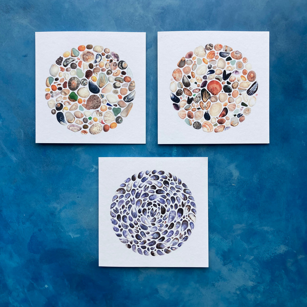 All The Circle Art Cards – Lily and Sea